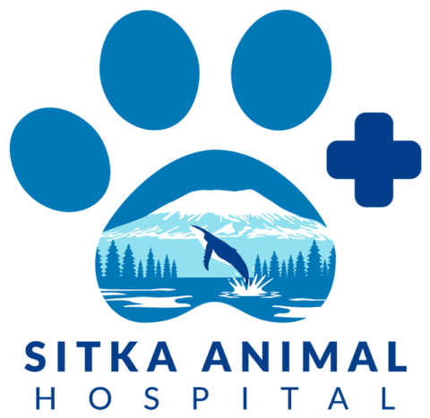 Best Vet Hospital In Sitka, AK | Sitka Animal Hospital